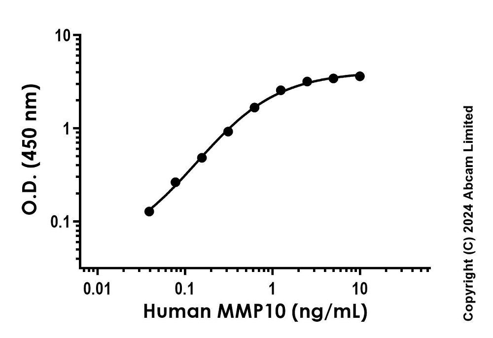 Anti-MMP10 antibody [EPR26647-M2] - BSA and Azide free (Detector)(AB322490)